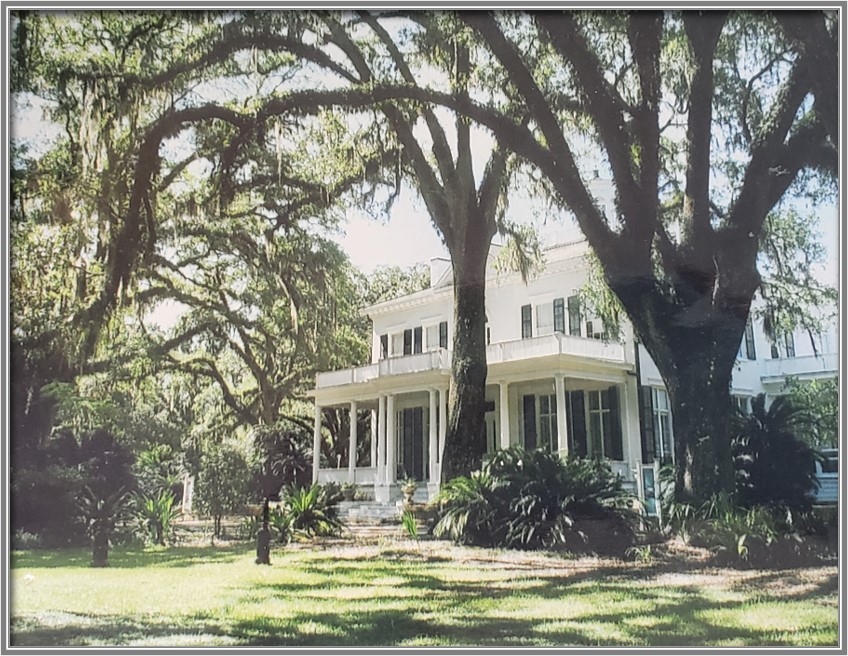 Donna Meredith Discusses Margaret: The Rose of Goodwood – Author ...